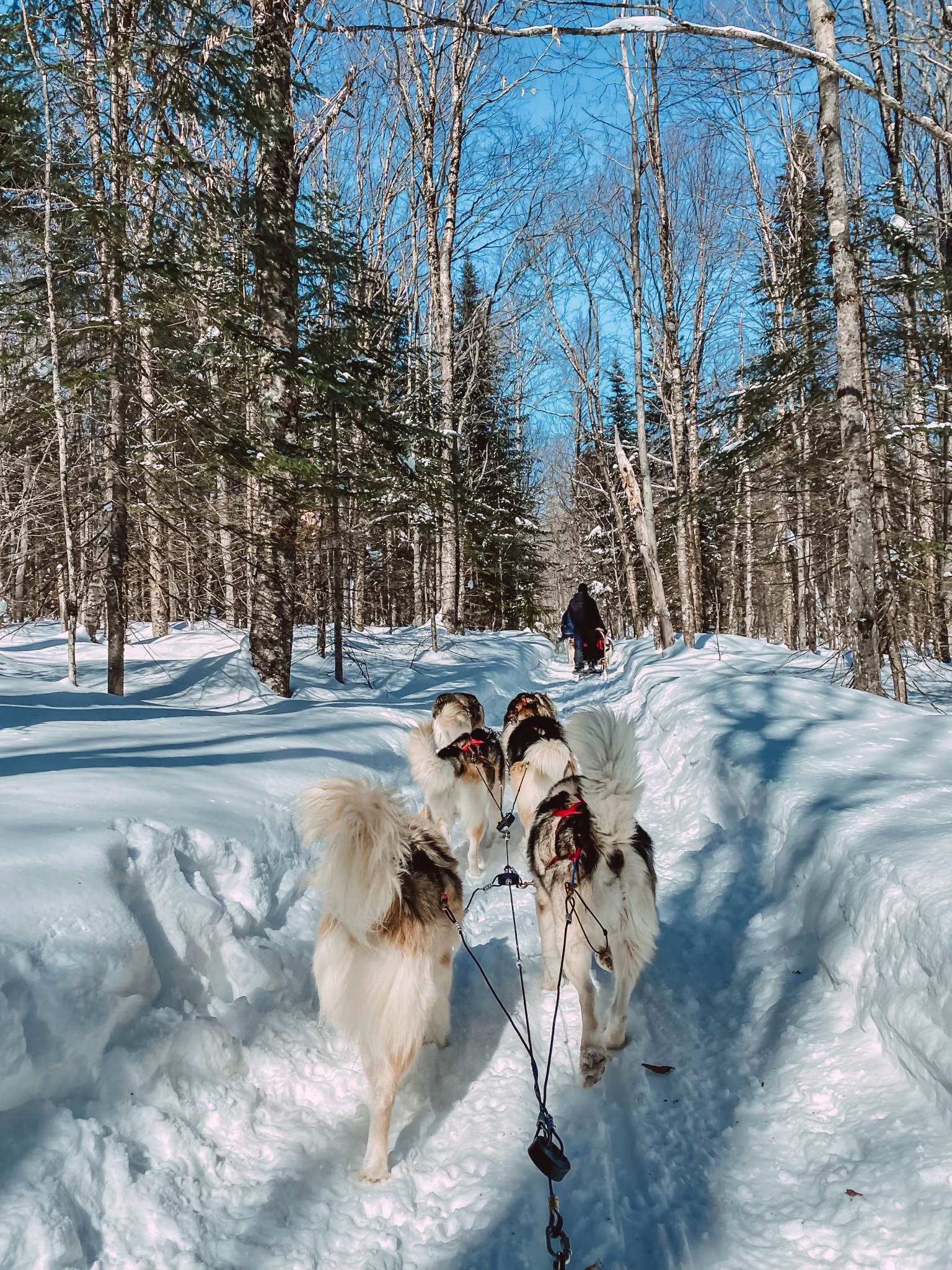 8 Best Things to Do in (or around) Quebec City, Canada – Jessie Across ...